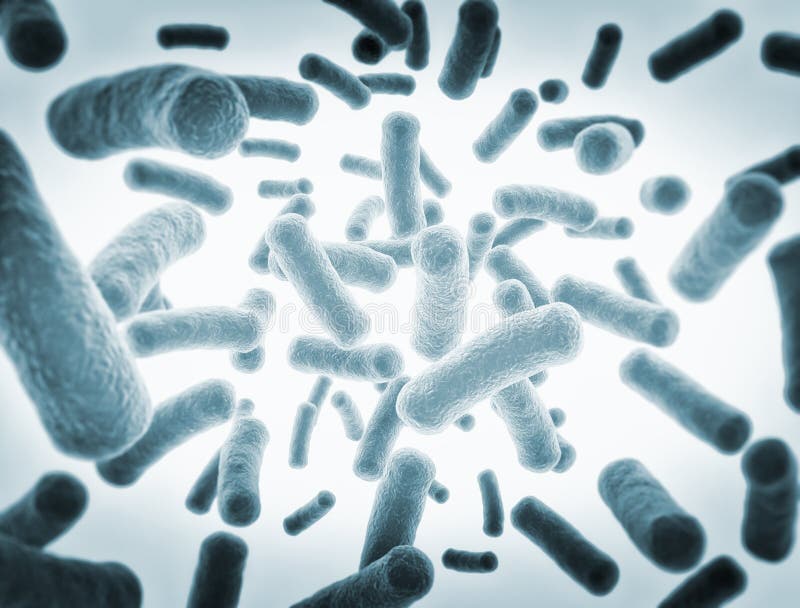 Bacteria Cells Under Microscope Stock Illustration - Illustration of ...