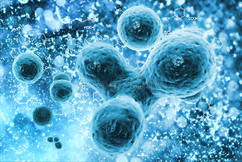 Plant Cells Under Microscope Stock Illustration - Illustration of germ ...