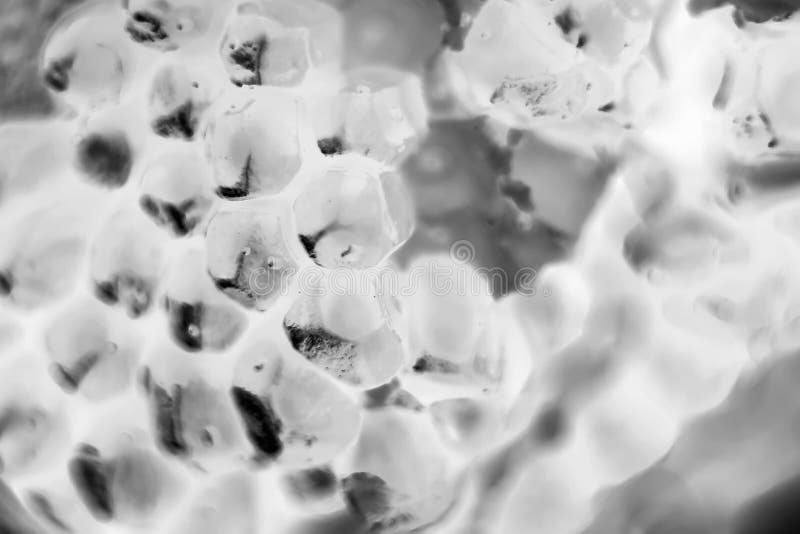 Microscopic Germs Under Fingernails