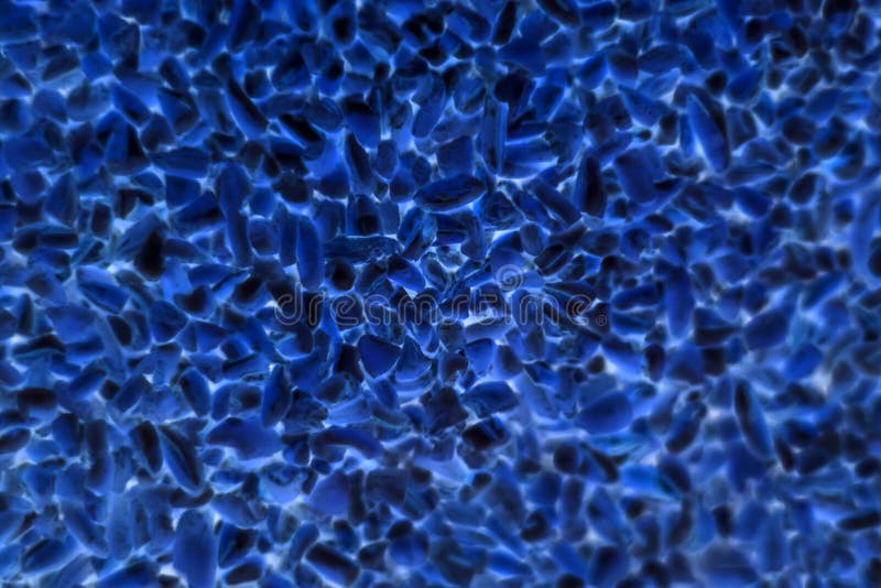 Bacteria or Cells Under a Microscope. Multiplication of Bacteria or ...