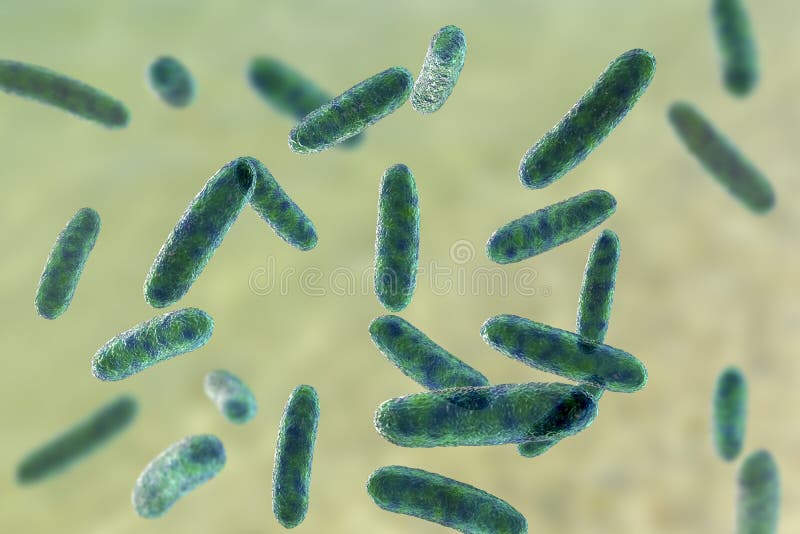 Bacteria Citrobacter, Gram-negative Coliform Bacteria from ...