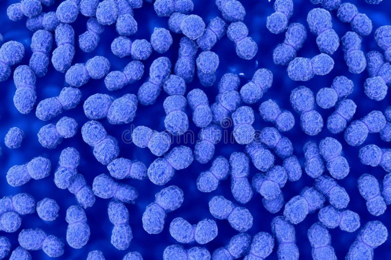 Bacteria. Close Up of 3d Microscopic Bacteria. Bacteria Colony ...