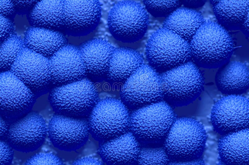 Bacteria. Close Up of 3d Microscopic Bacteria. Bacteria Colony ...