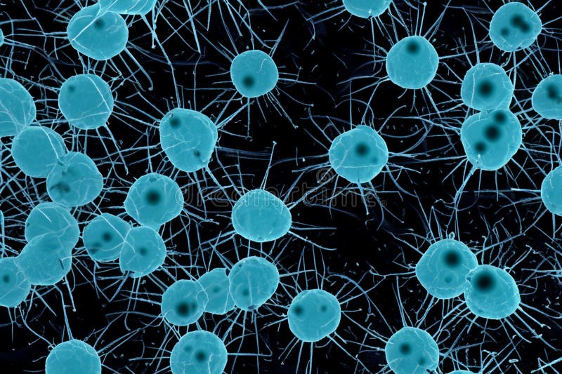 Bacteria up close stock illustration. Illustration of zoom - 1024759