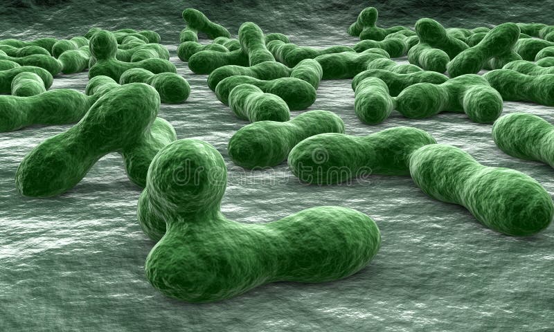 Bacteria closeup stock illustration. Illustration of genetic - 61038174