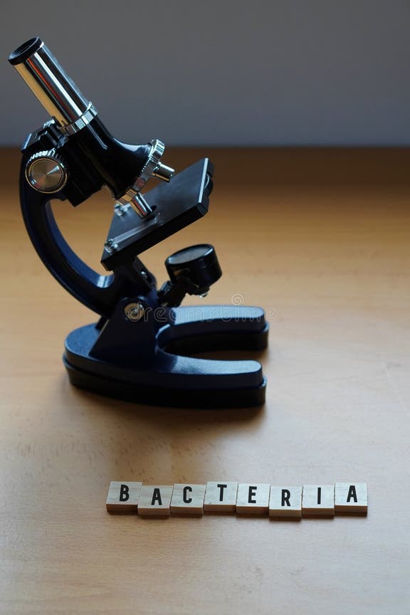 BACTERIA Concept, Research. Wooden Letters with a Microscope on the ...