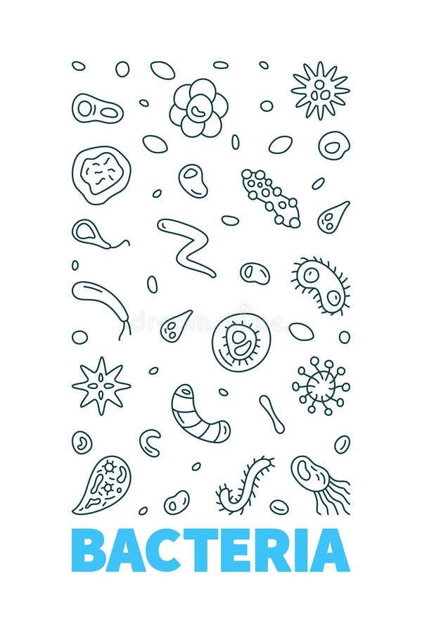 Bacteria Concept Science Outline Vertical Banner - Vector Illustration ...