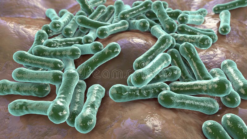 Bacteria Corynebacterium Diphtheriae Stock Illustration - Illustration ...