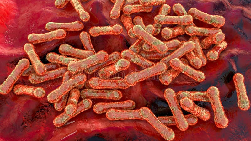 Bacteria Corynebacterium Diphtheriae Stock Illustration - Illustration ...