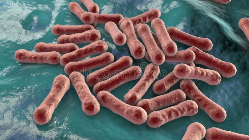 Bacteria Corynebacterium Diphtheriae Stock Video - Video of infection ...