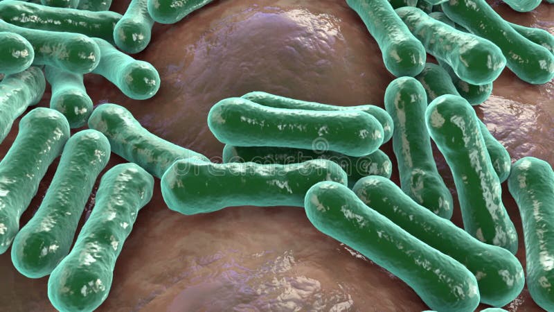 Bacteria Corynebacterium Diphtheriae Stock Video - Video of illness ...