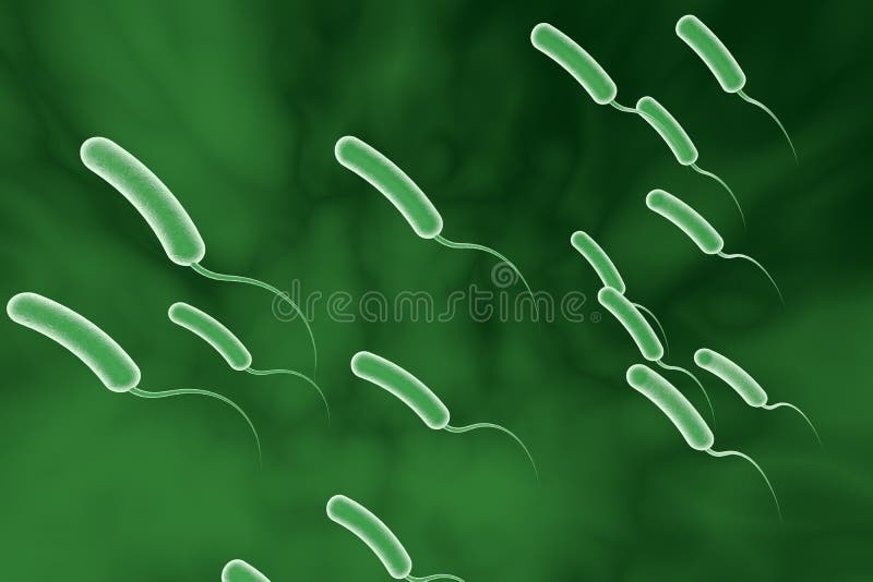 Bacterias De Cholerae Del Vibrión Stock de ilustración - Ilustración de ...