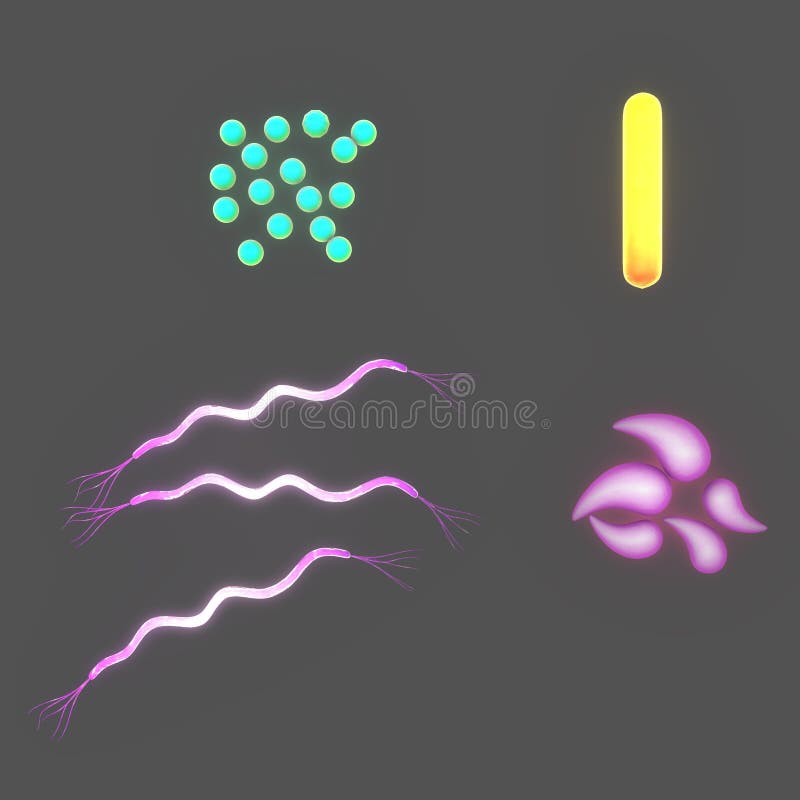 Bacteria of Different Shapes Stock Illustration - Illustration of ...