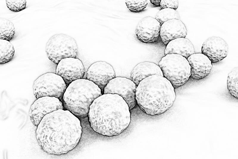 Gram Positive Cocci Stock Illustrations – 281 Gram Positive Cocci Stock ...