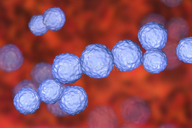 Bacteria Enterococcus, Illustration Stock Illustration - Illustration ...