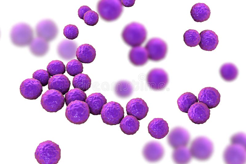 Bacteria Enterococcus, Illustration Stock Illustration - Illustration ...