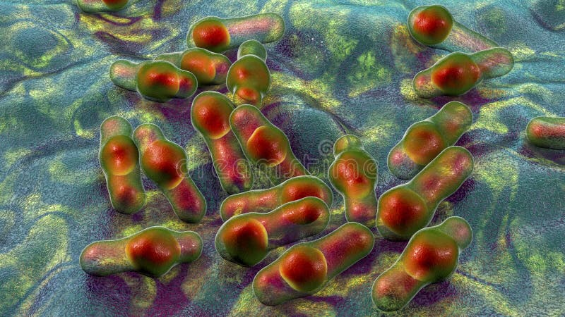 Bacterias De Perfringens Del Clostridium Stock De Ilustración