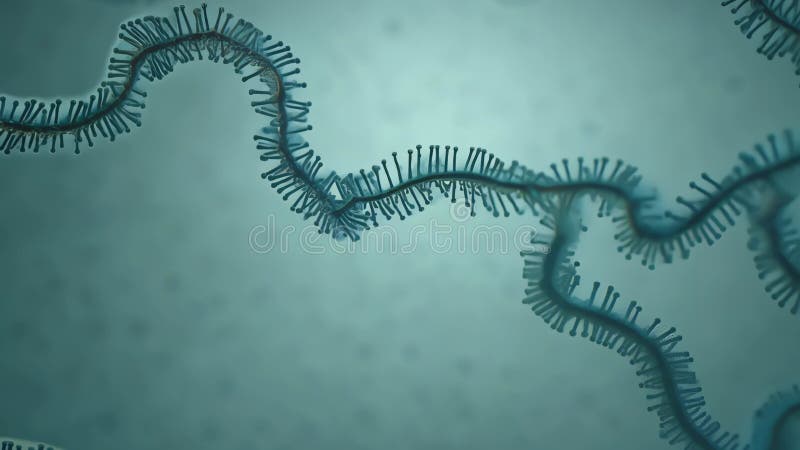 Bacteria Evolving, Exchanging Genetic Material in a Sterile Environment ...