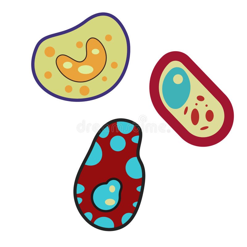 Bacteria Flat Illustration Design Graphic Stock Vector - Illustration ...