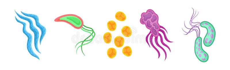 Bacteria and Germs of Different Shapes Isolated on White Background ...