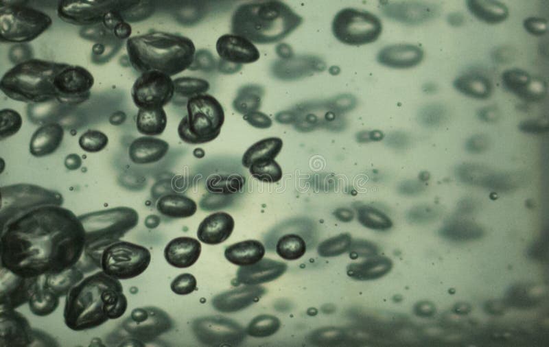 Bacteria or Germs Microorganism Cells Under Microscope. on Green ...