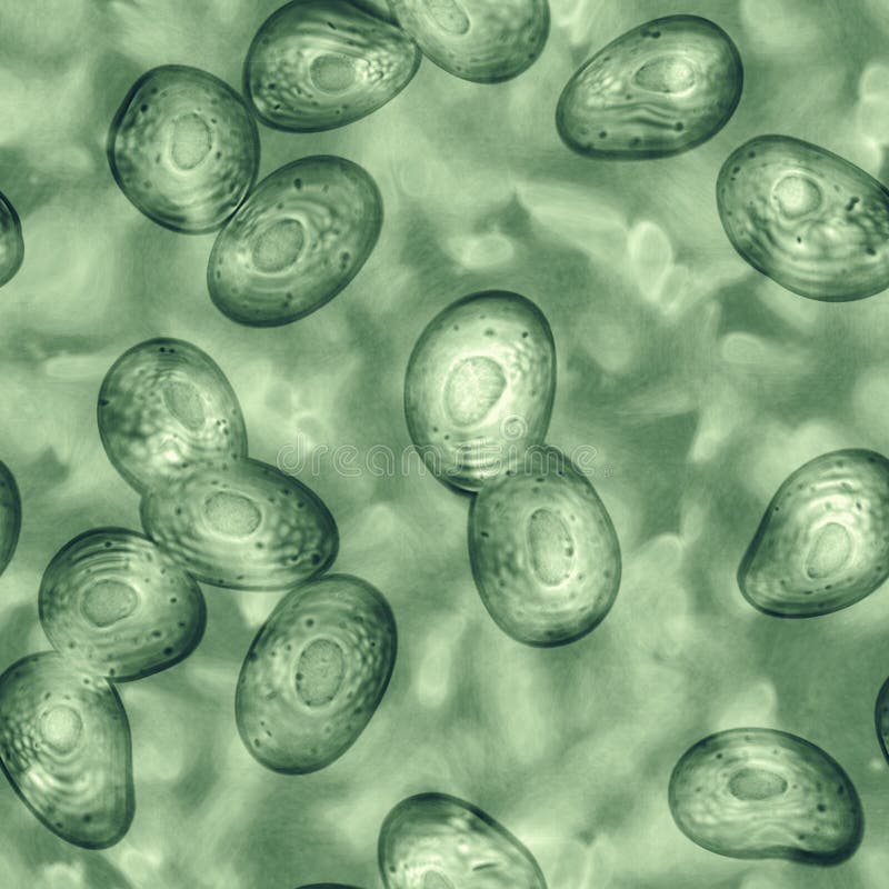 Bacteria and Germs Seamless Texture Stock Illustration - Illustration ...