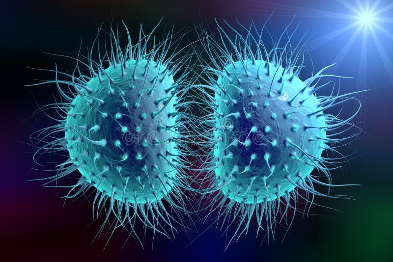 Bacteria Gonococcus or Meningococcus Stock Illustration - Illustration ... Bacteria Gonococcus or Meningococcus Stock Illustration - Illustration ...