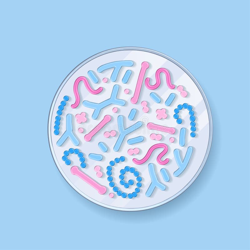 Bacteria Gram. 3d Render Top View Petri Dishe with Different Colorful ...