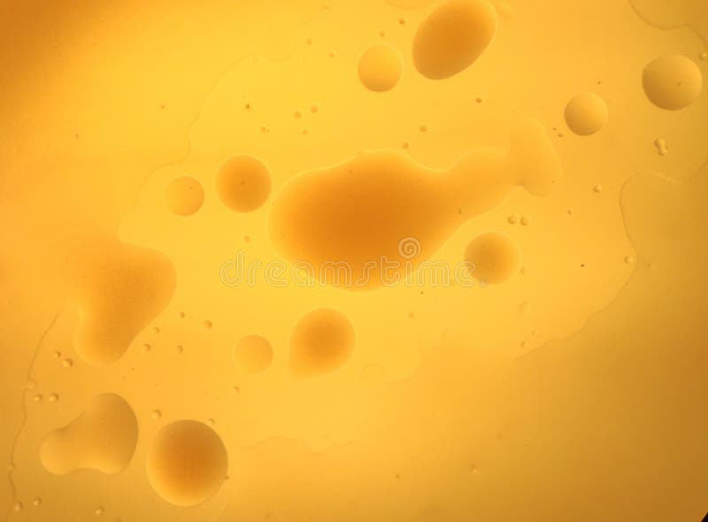 Microscopy of Bacterial Colonies Stock Image - Image of optical, colony ...