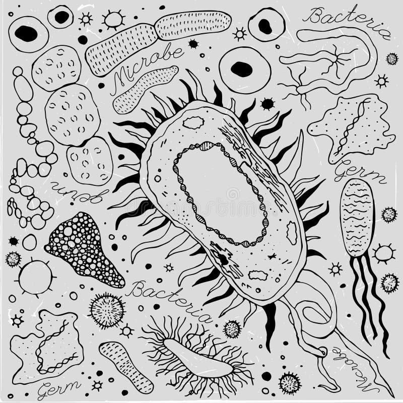 Bacteria hand-drawn image stock vector. Illustration of micro - 123687616