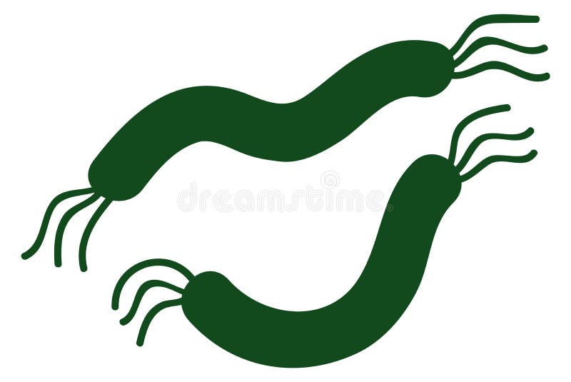 Bacteria Icon. Infection Disease Symbol Stock Vector - Illustration of ...