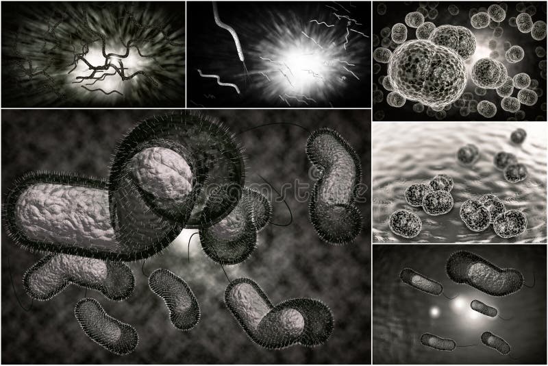 Bacteria Infection Collage stock illustration. Illustration of ...