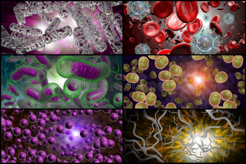 Bacteria Infection Collage stock illustration. Illustration of ...