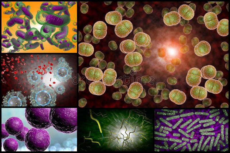Bacteria Infection Collage stock illustration. Illustration of disease ...