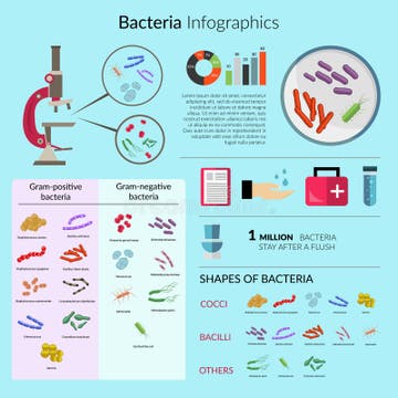 Infographic Microscope Stock Illustrations – 5,193 Infographic ...