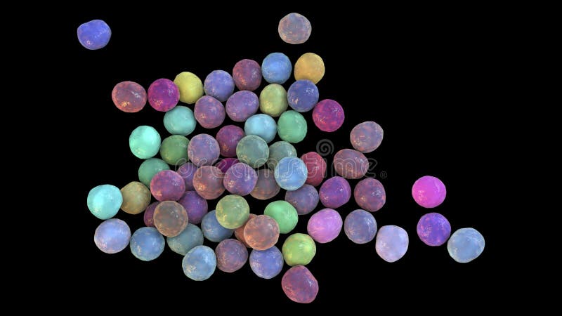 Bacteria Methicillin-resistant Staphylococcus Aureus MRSA Stock ...