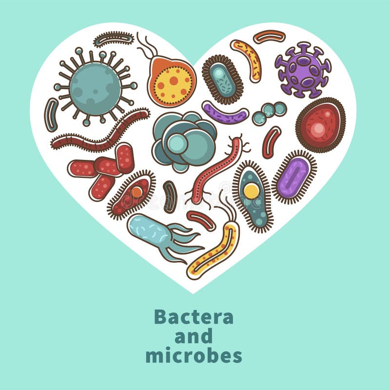 Bacteria and Microbes Heart Poster for Medical Bacteriology or Hospital ...