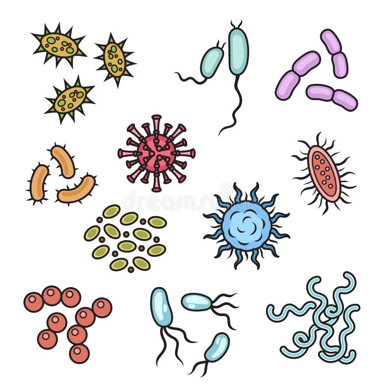 Bacteria Microorganisms Diagram Medical Science Stock Illustration ...