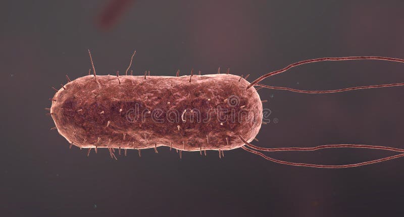 Bacteria are Small Single Celled Organisms Stock Illustration ...