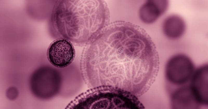 Bacteria, Molecule and Dna Cell Particles of a Virus on a Research ...