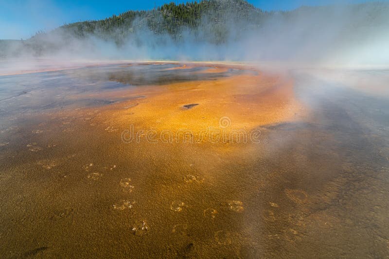 Footprints, Bacteria and Mud Formations Stock Photo - Image of famous ...