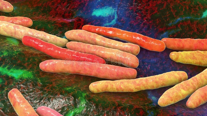 Bacteria Mycobacterium Tuberculosis Stock Footage - Video of medical ...