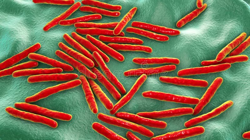 Bacteria Mycobacterium Tuberculosis Stock Footage - Video of scientific ...