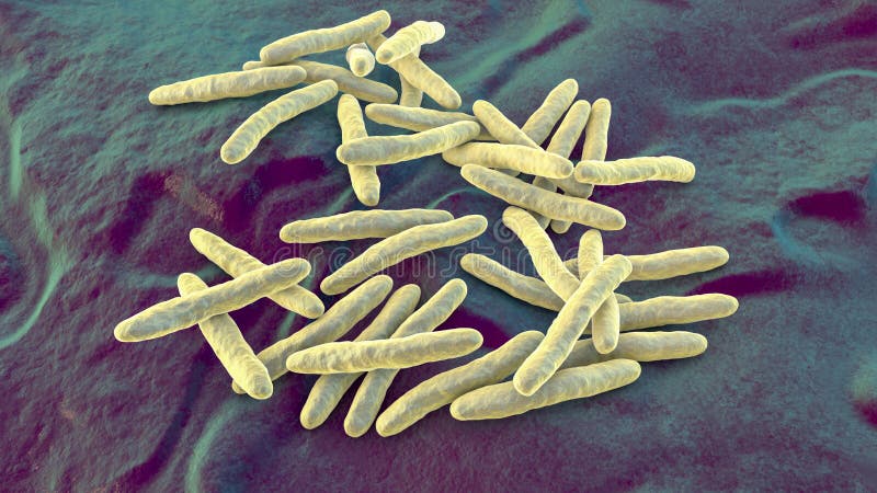 Bacteria Mycobacterium Tuberculosis, the Causative Agent of ...