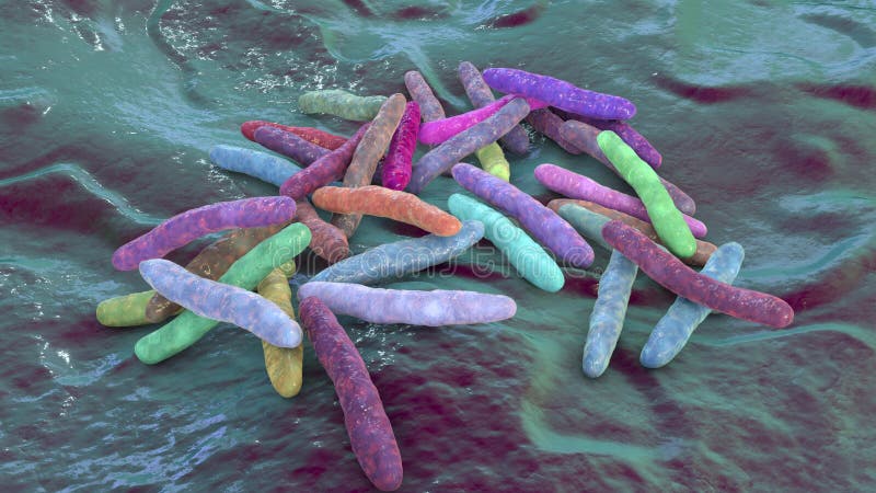 Bacteria Mycobacterium Tuberculosis, the Causative Agent of ...