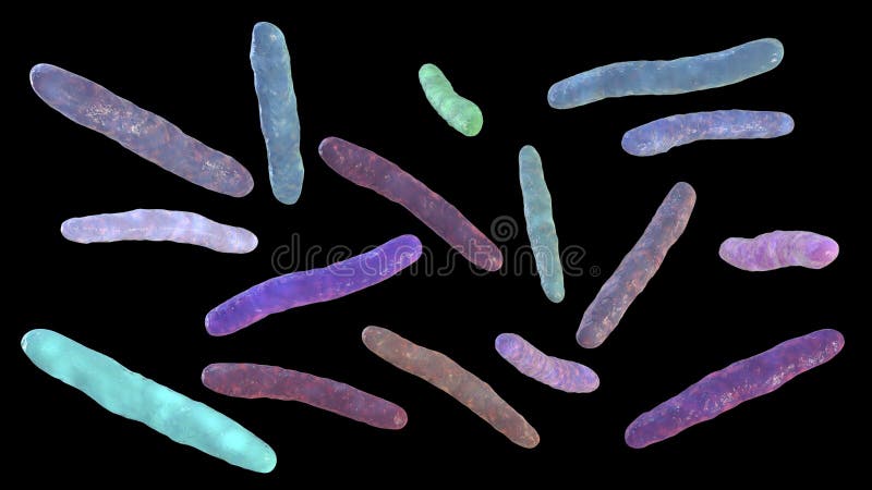 Bacteria Mycobacterium Tuberculosis, the Causative Agent of ...