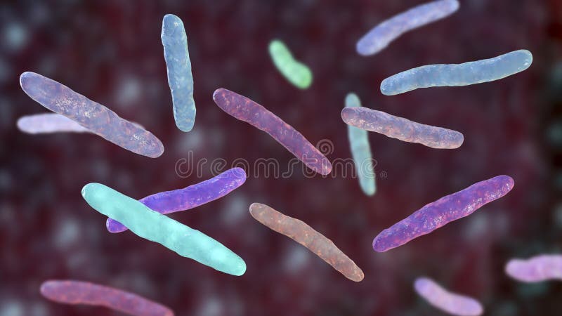 Bacteria Mycobacterium Tuberculosis, the Causative Agent of ...