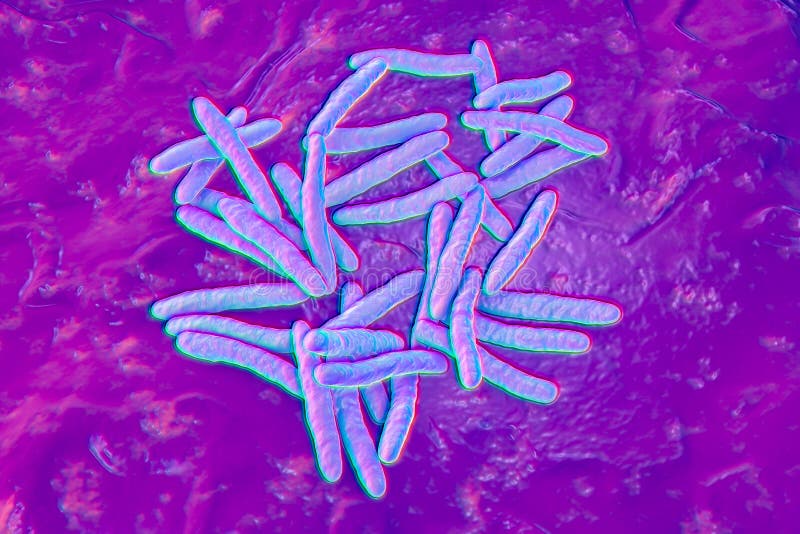 Bacteria Mycobacterium Tuberculosis, the Causative Agent of ...