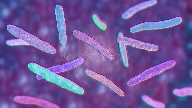 Bacteria Mycobacterium Tuberculosis, the Causative Agent of ...