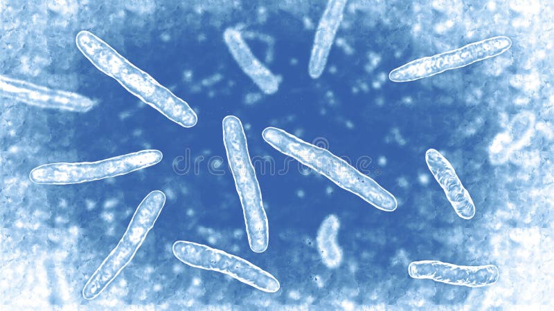 Bacteria Mycobacterium Tuberculosis, 3D Illustration Stock Illustration ...